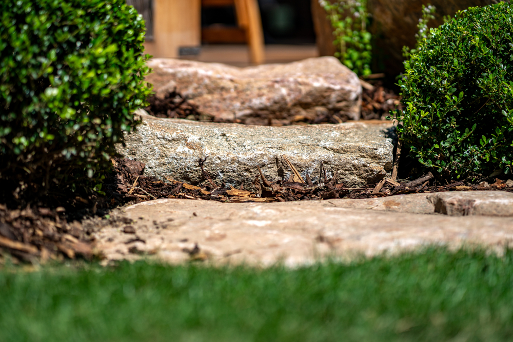 Finn-Oke Schultz - einzigartige Landschaften – Aktuelles