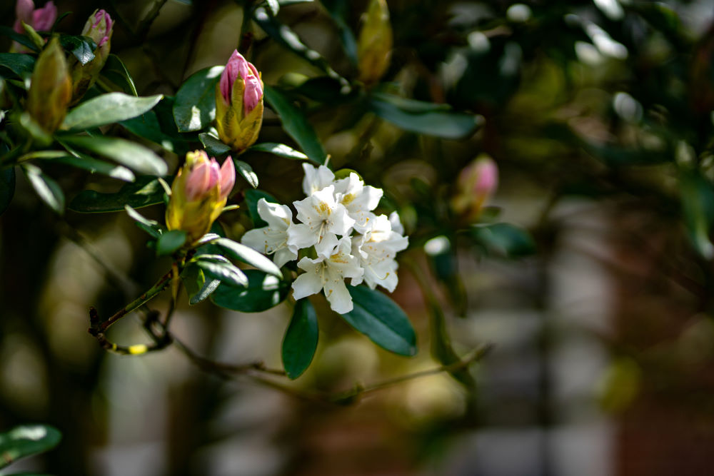 Finn-Oke Schultz - einzigartige Landschaften – Willkommen im Urlaub ...